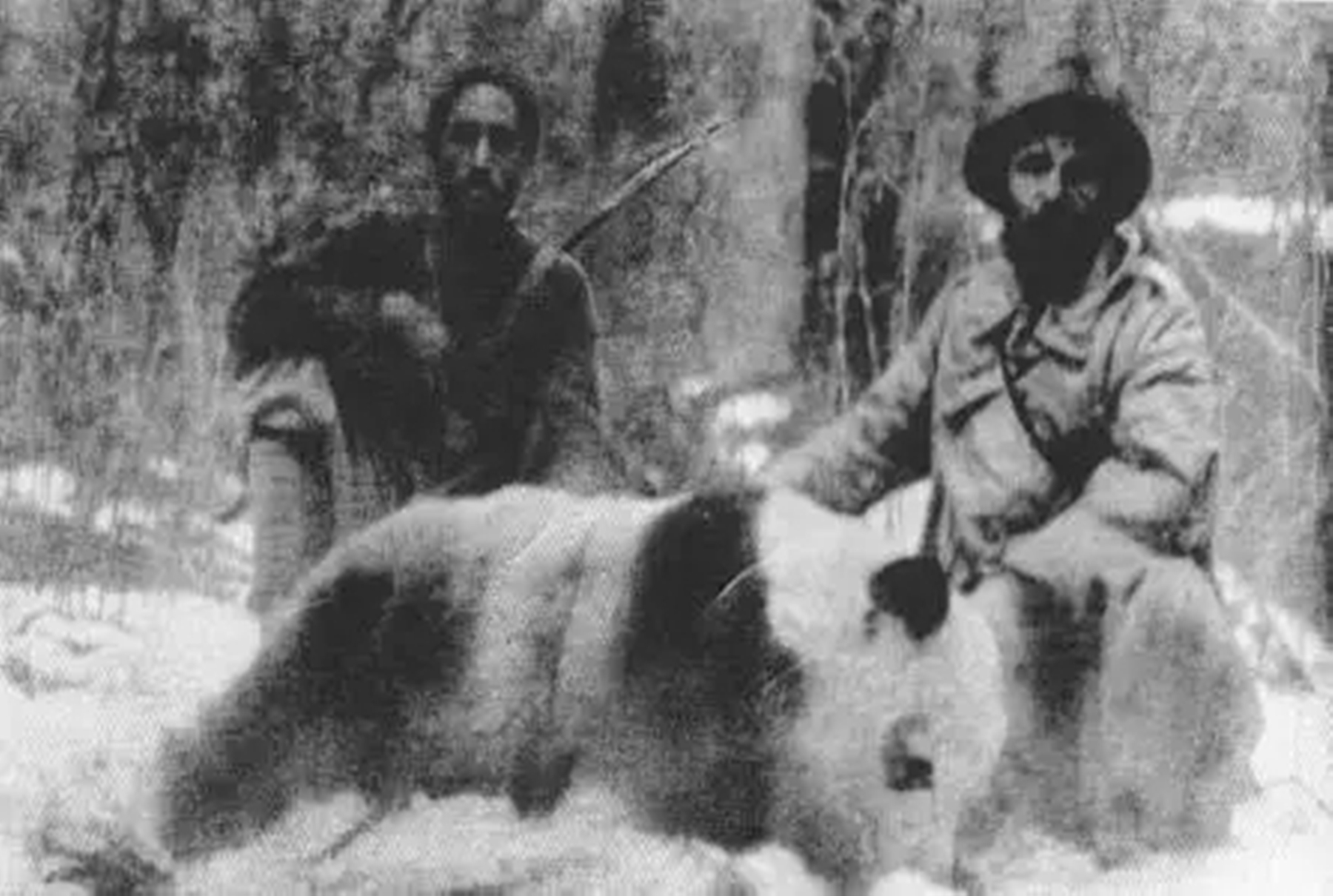 In 1936, an American woman stole a giant panda from China twice, and ...