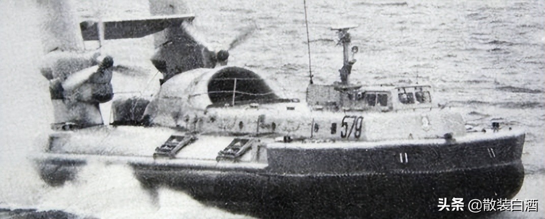 Sea bus or tasteless tasteless?Is it worth it to introduce a Bison ...