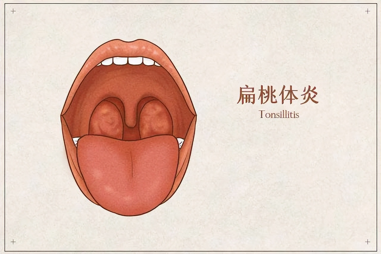 There are 6 organs in the human body, which will not affect normal life ...