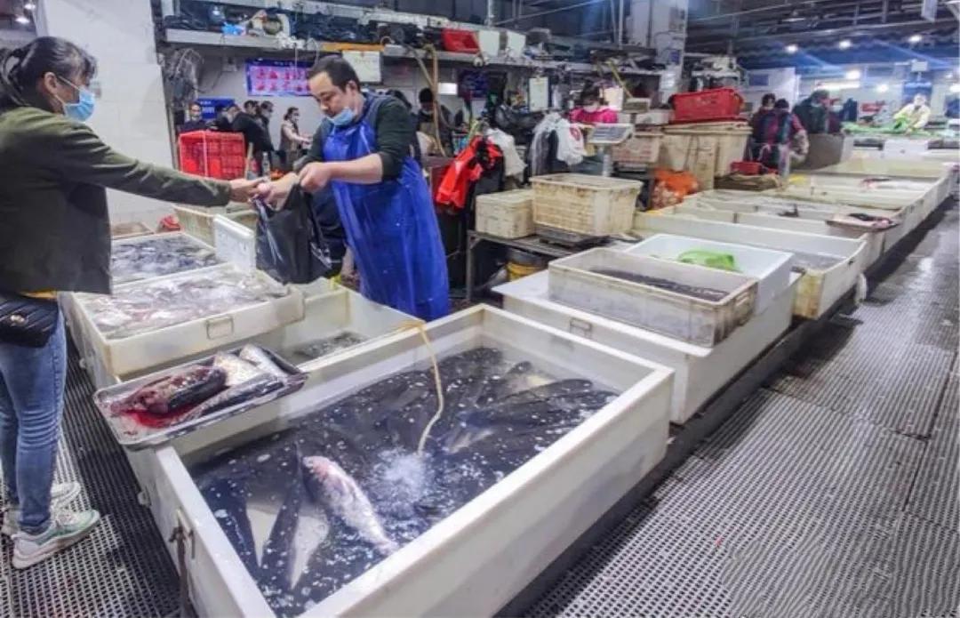 On the ranking list of these 6 "freshwater fish purines", crucian carp ...