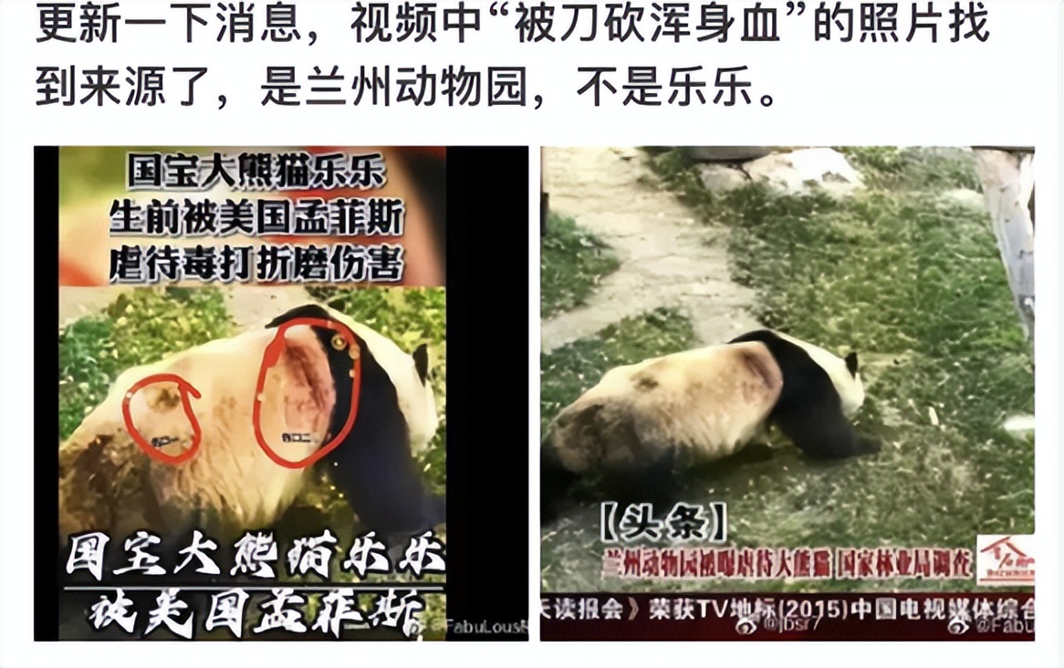 The Sino-US public opinion war behind Yaya's return to China - iNEWS