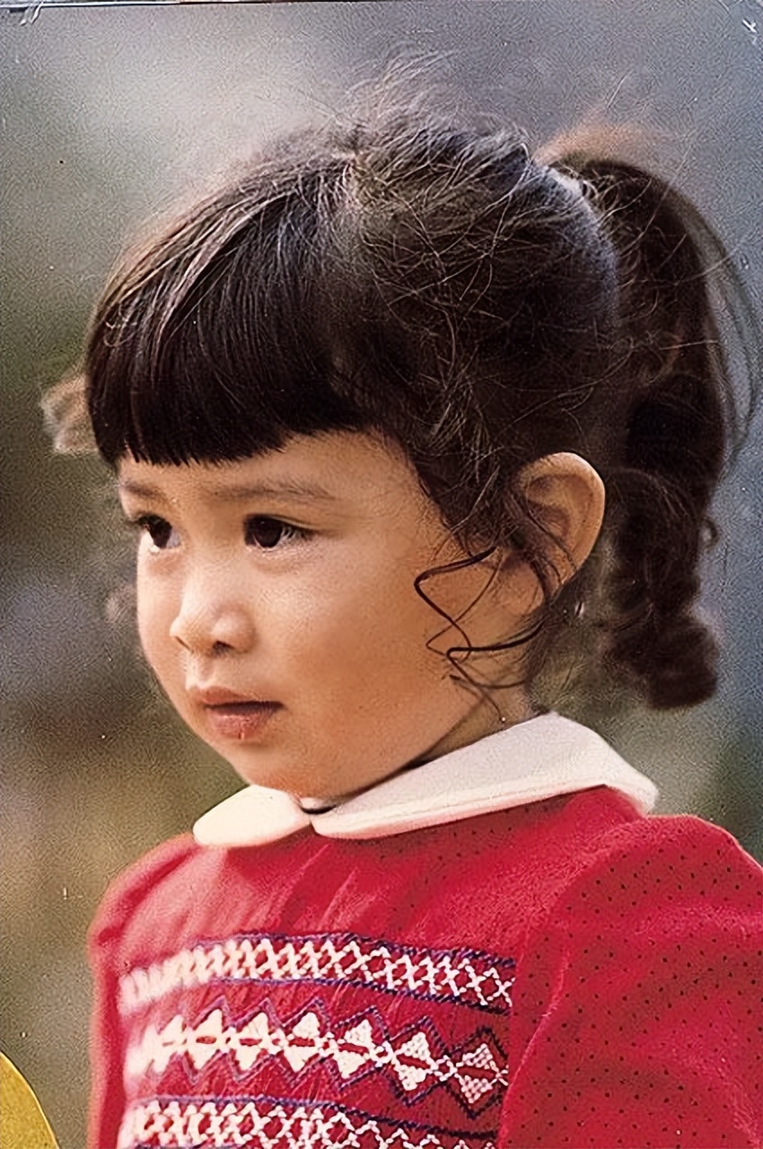 "King of Palace Fighting" Charmaine Sheh, the ups and downs of life ...