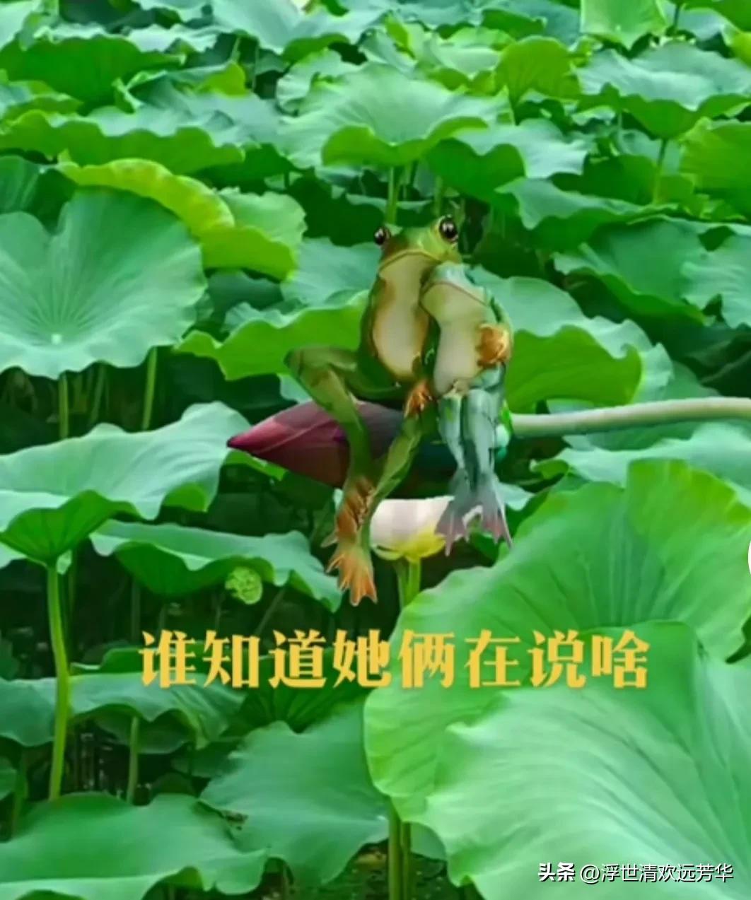 How should children be enriched? - iMedia