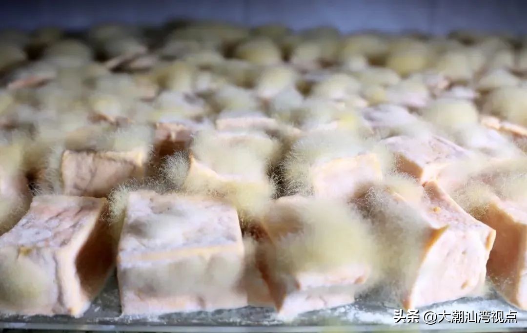Four famous Chinese fermented bean curd - iNEWS