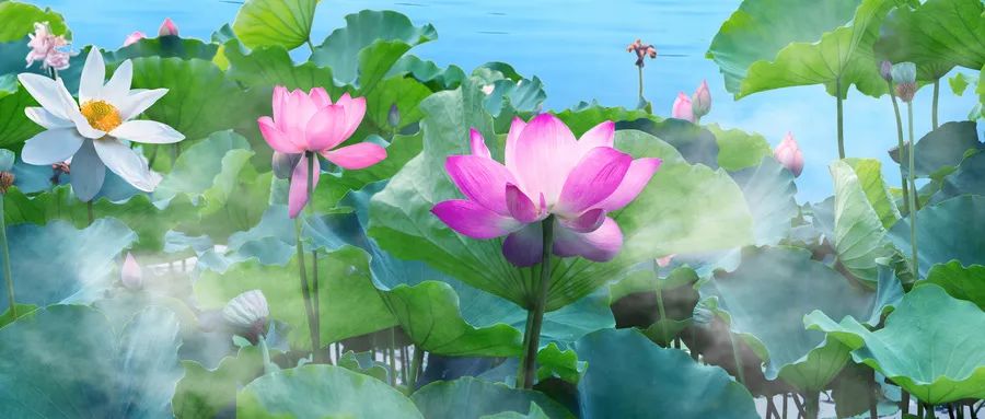 6 poems with overlapping characters , overlapping with thousands of ...