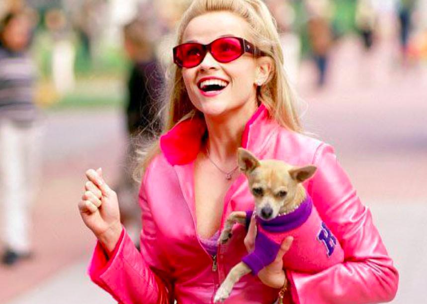 Why do foreigners think "blonde girls" are stupid and stupid?The truth ...