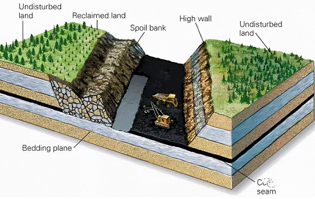 Coal was transformed from trees. Is there any evidence to prove it? How ...