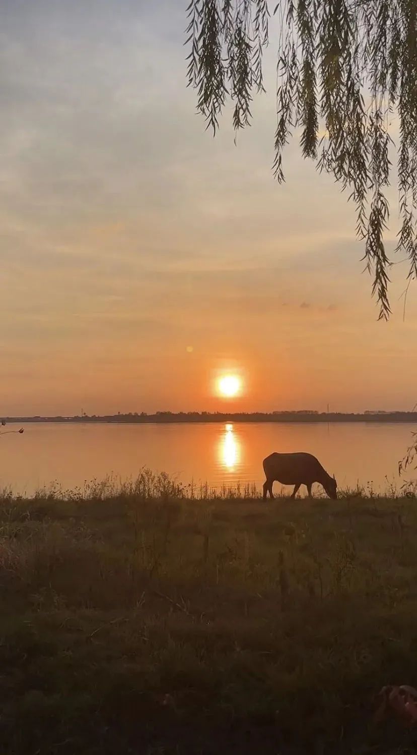 How to handle Gemini - iNEWS