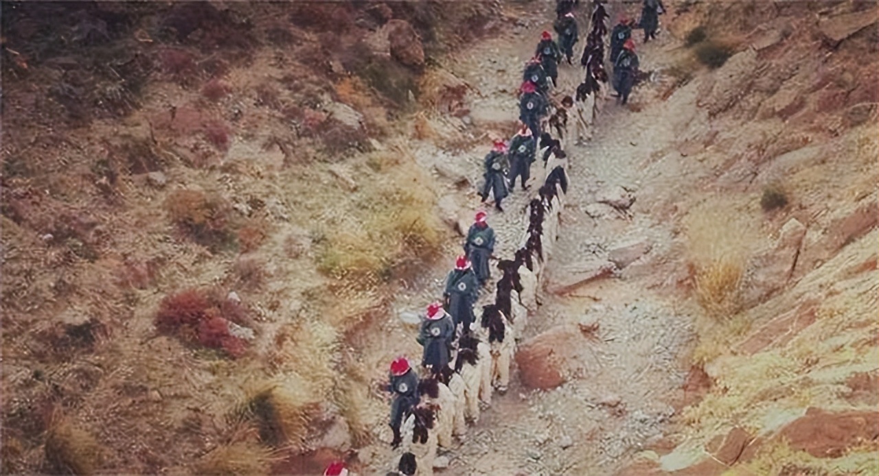 What are the characteristics of the combined punishment system for ...