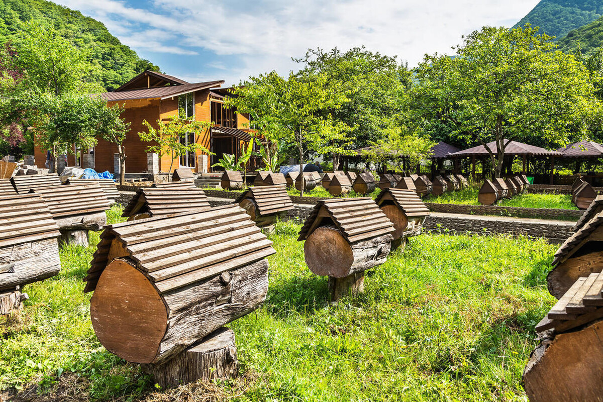 genius designer and mathematician - iNEWS