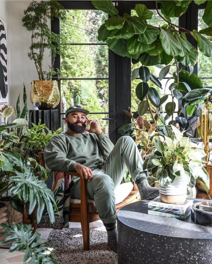 From deep emotional quagmire to being healed by plants——The ...