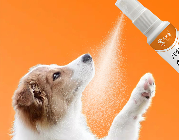 Common Pet Flea Infestation Symptoms and Prevention Methods - iNEWS