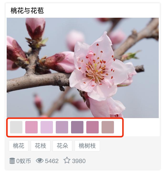 "Morandi color matching" makes your vision more comfortable - iNEWS