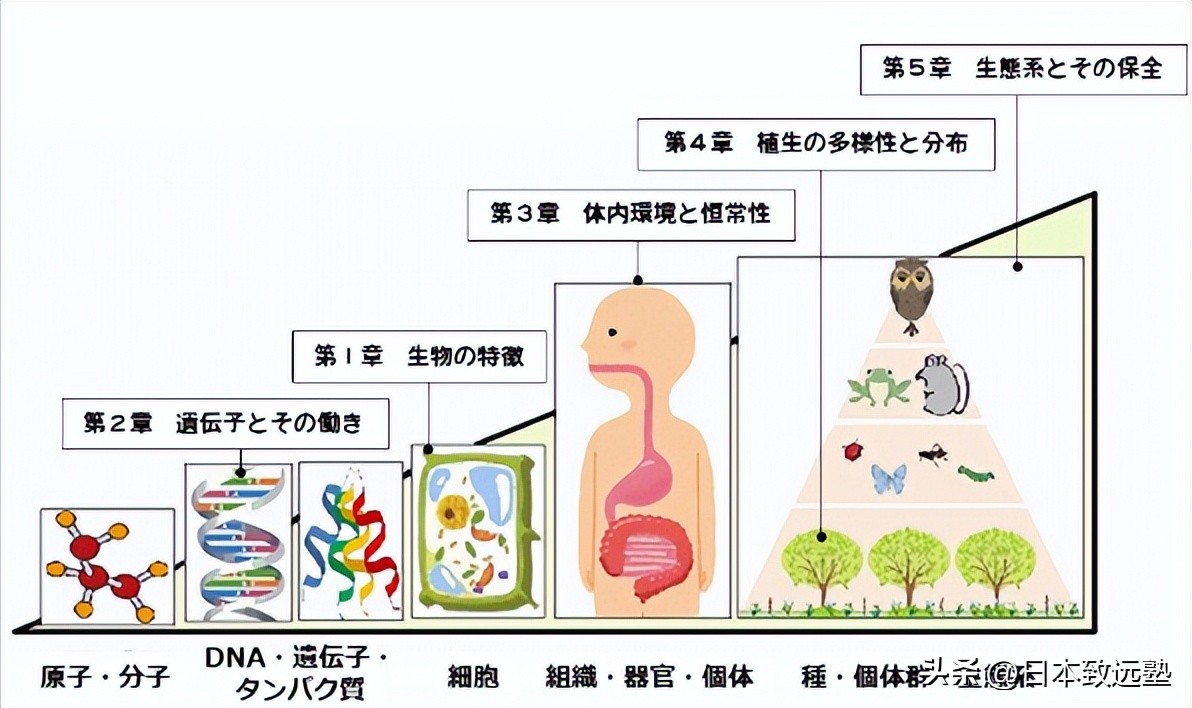 EJU Biology only takes multiple-choice questions, you can take the test ...