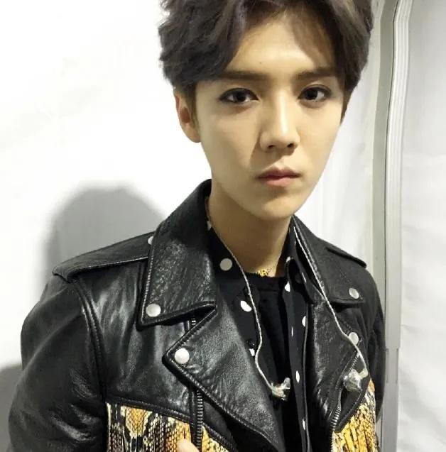 Domestic entertainment leader Lu Han, it turns out he was so popular ...