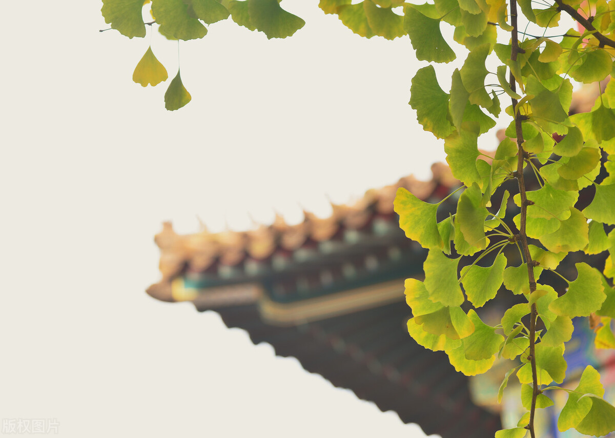 Poems Written in Spring (New Rhyme)——Wang Ping, Gansu - iMedia