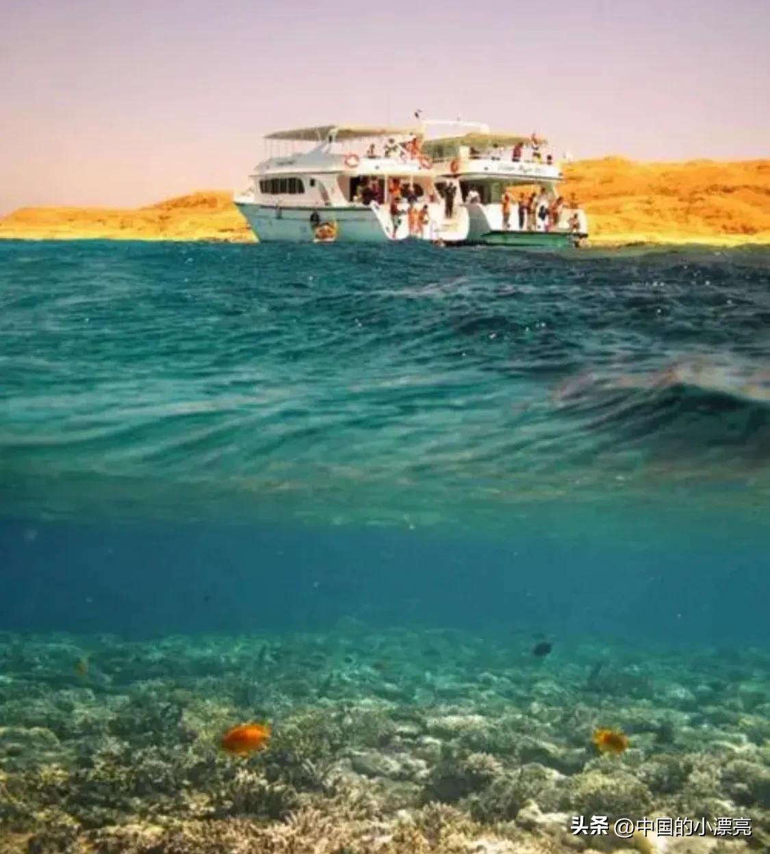 Why is sea water red?Do you know the secret in it? - iNEWS