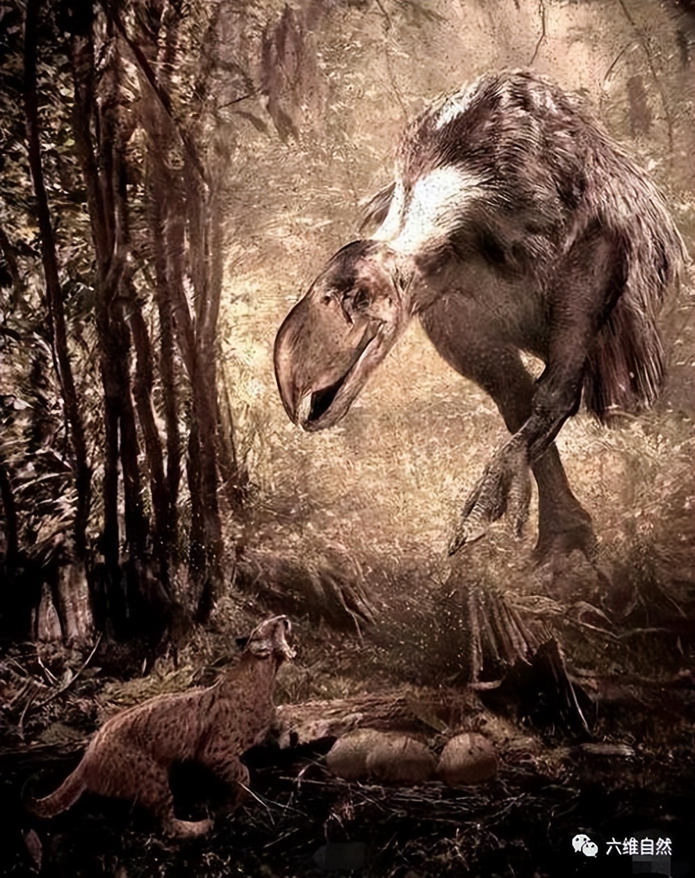 Inventory of the giant birds that became extinct because of their ...