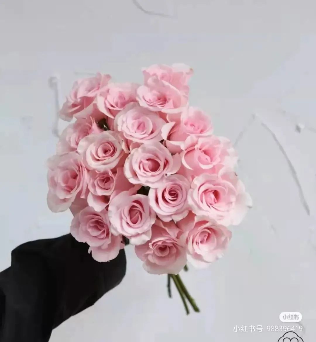 Send you pink roses, I hope you never lose your girly heart - iNEWS