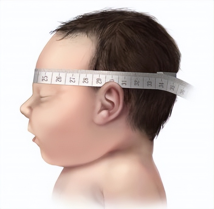 How to measure and observe the baby's head circumference and bregma ...