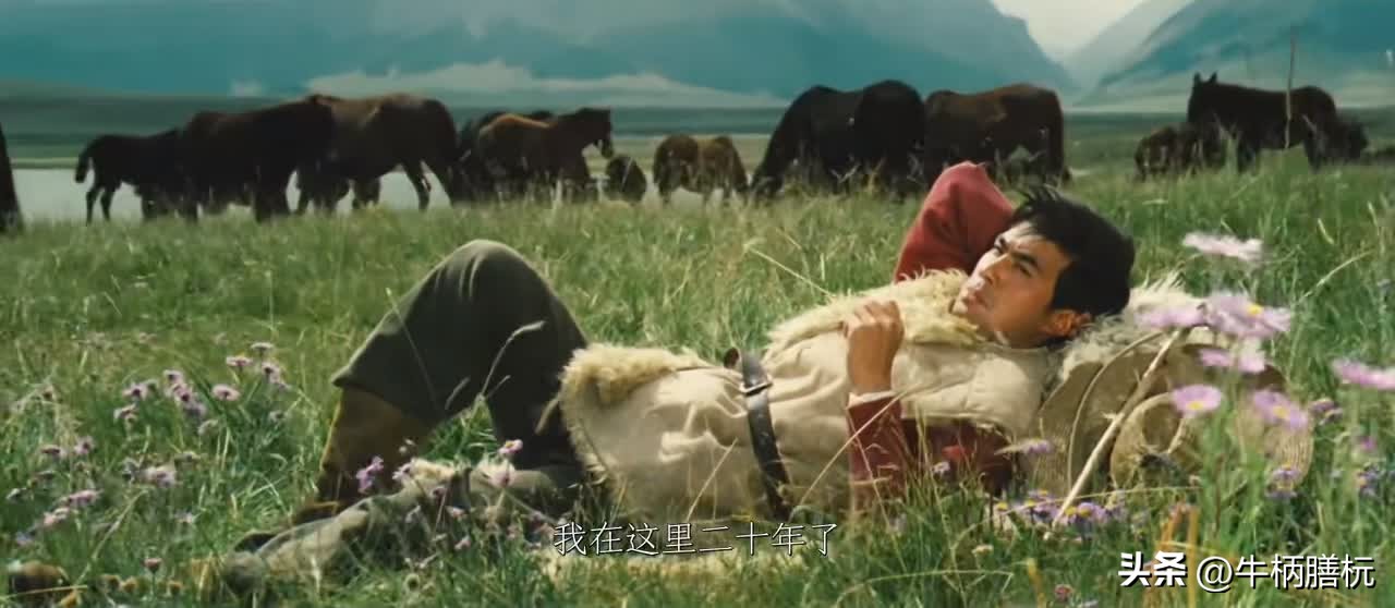 Old movies I watched when I was a child (92): "The Wrangler" - iMedia