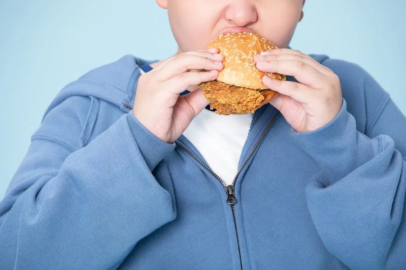 Causes of childhood obesity and preventive measures - iNEWS