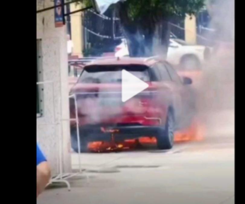 BYD is on fire again, does summer really have such a big impact?How ...