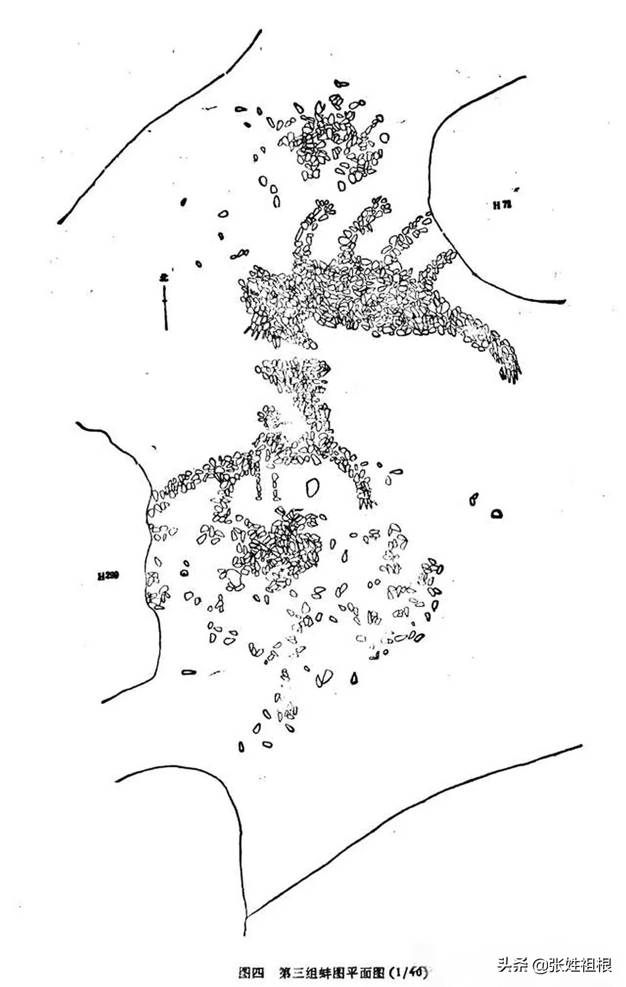 The first Chinese dragon in Puyang - iMedia