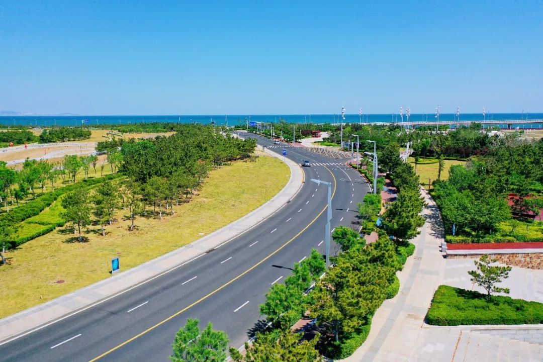 Behind the massive sea sausages in Bajiao Bay - iNEWS