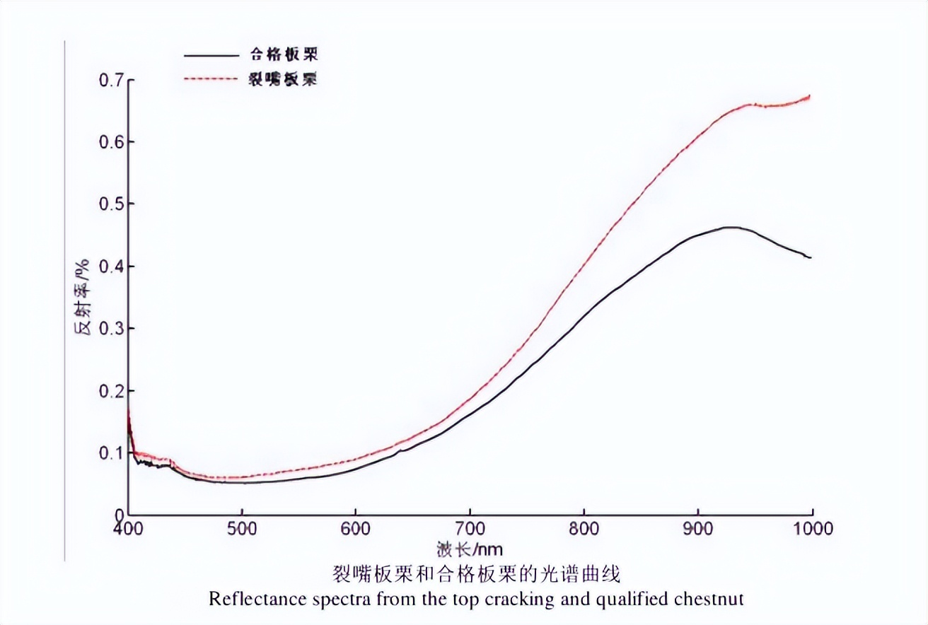Using Hyperspectral Image Technology to Identify Chestnut with Split ...