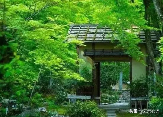 Two vivid Zen poems, with strong Zen meaning, give people a feeling of ...