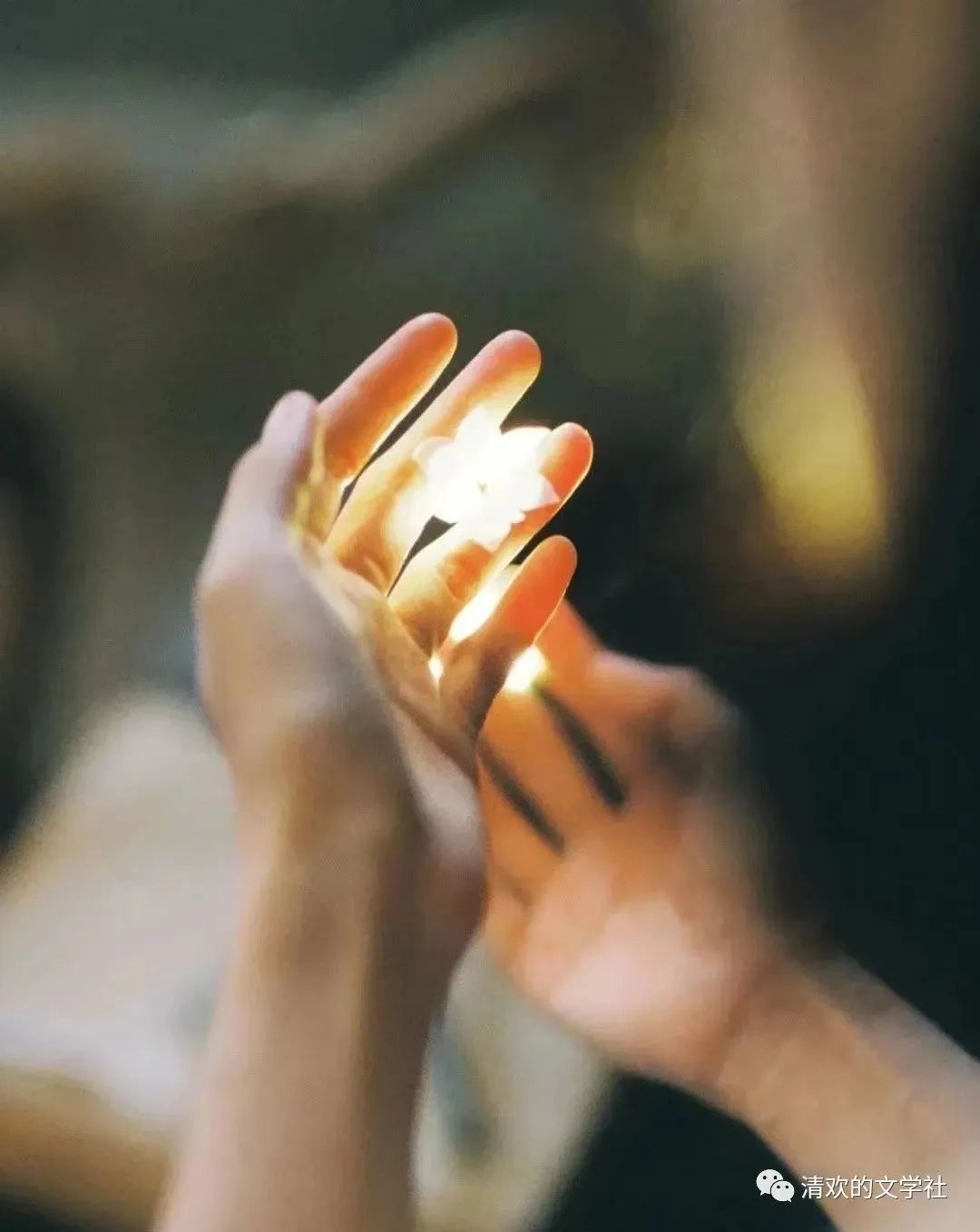 Zhang Youyi, a beautiful woman in the Republic of China, has infinite ...