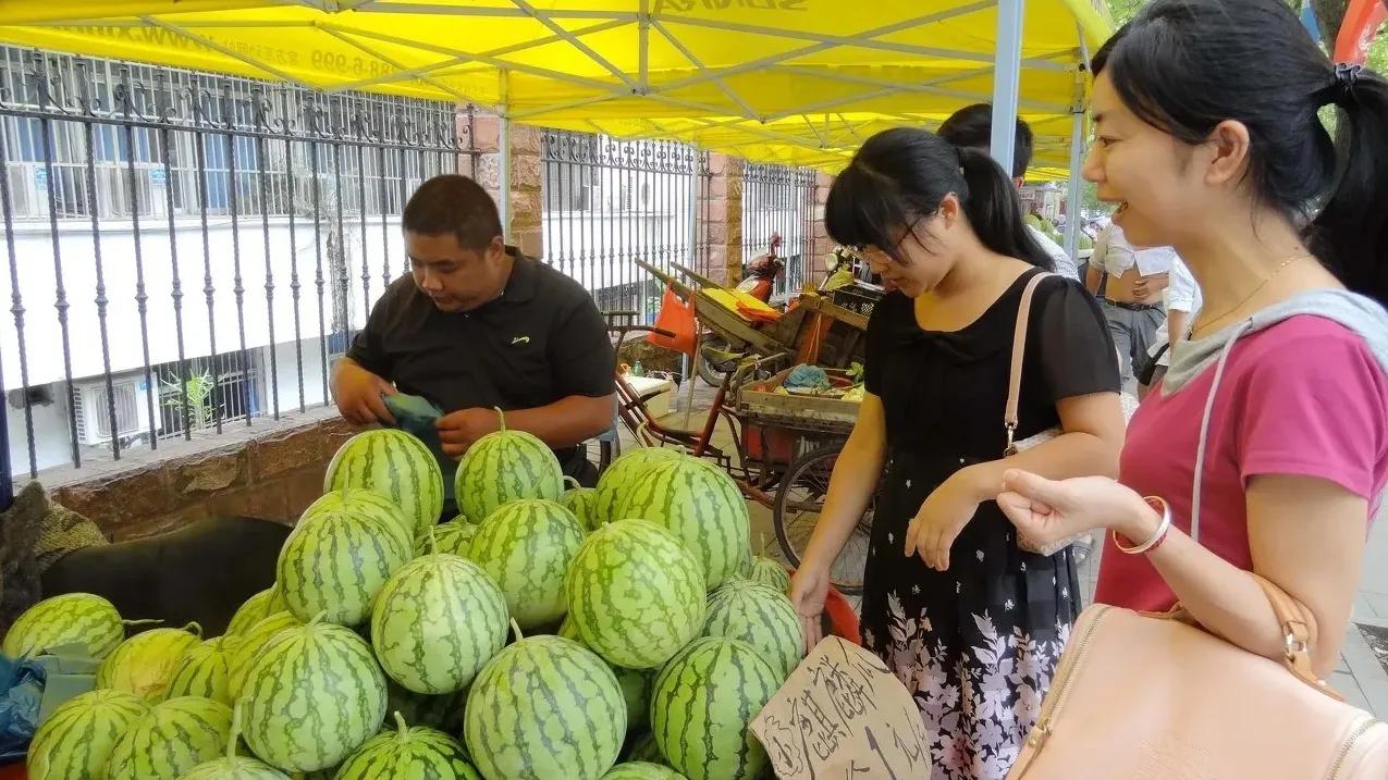 Do you know who is the mother of Chinese watermelon? - iNEWS