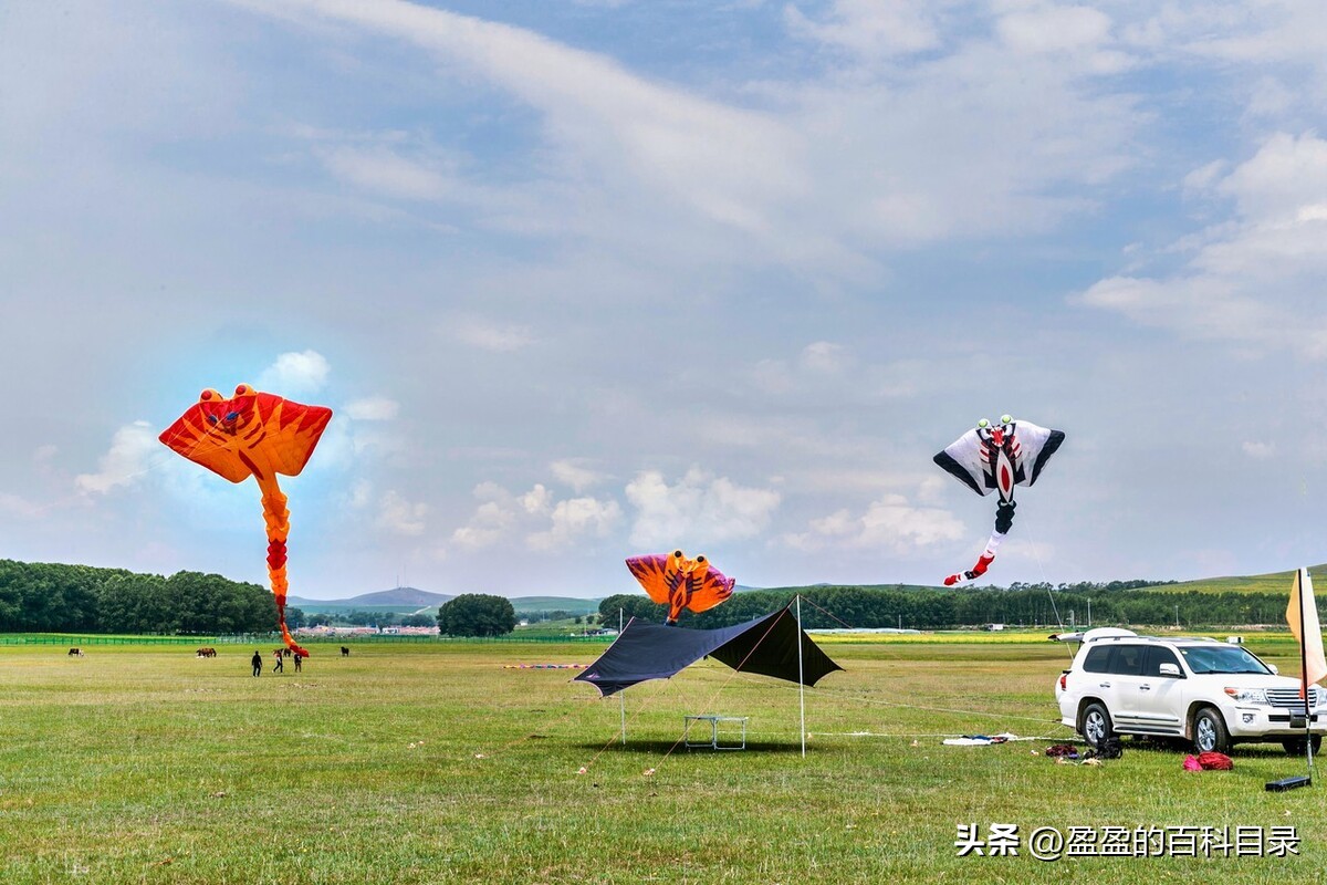 Where can I fly a kite? What do you need to pay attention to when ...