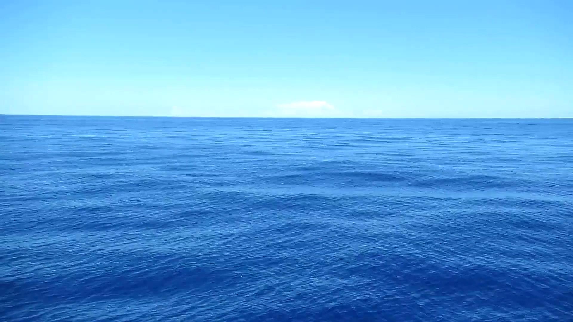 Japan found giant deep-sea fish at a depth of 2 kilometers - iNEWS