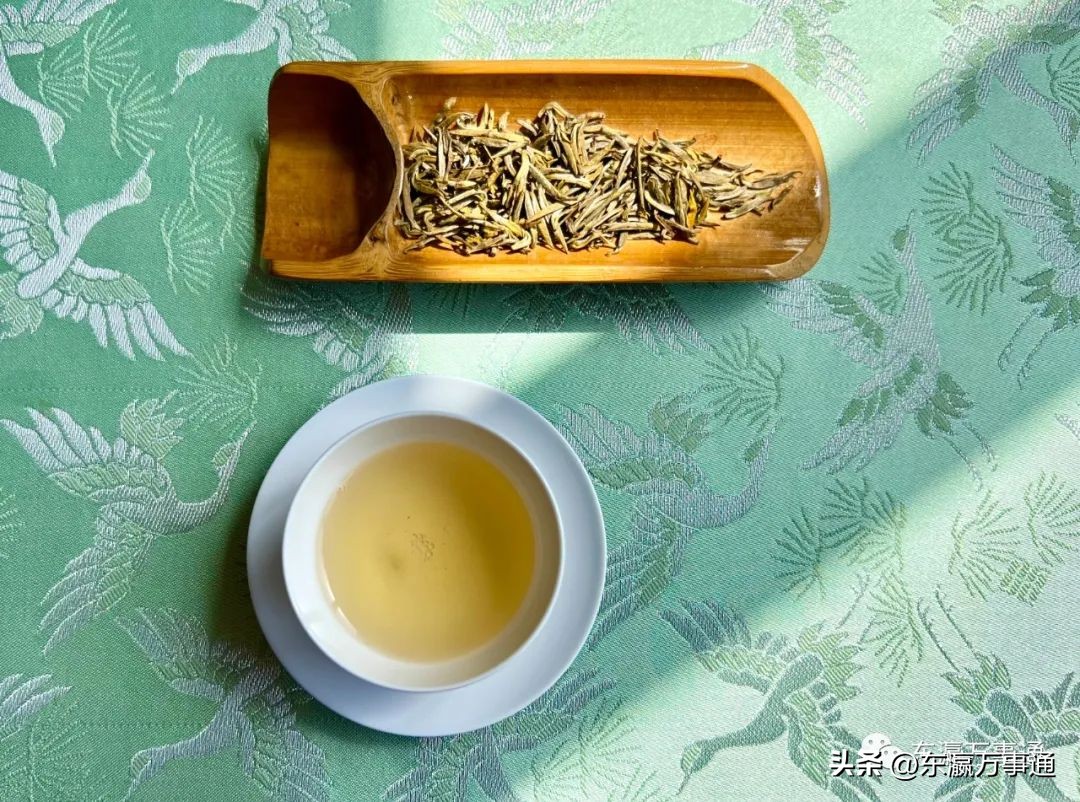 Feng Xuemin: Tea Drunk in Huzhou - iNEWS