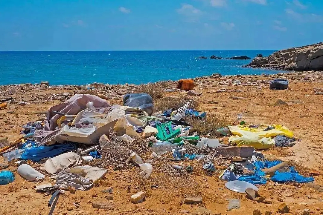 Plastic is expected to be degraded quickly, Australian scientists have ...