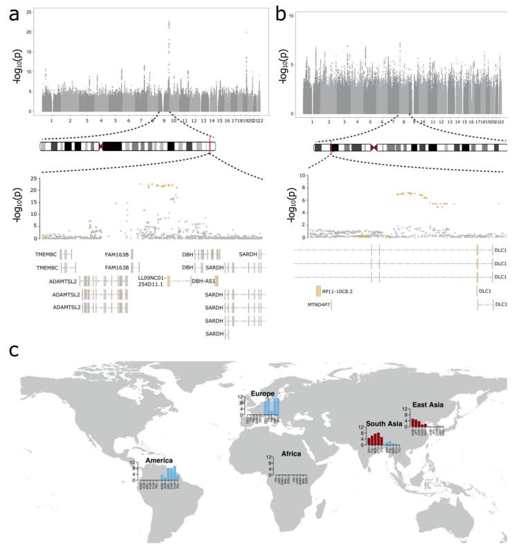 Humans' penchant for tobacco and alcohol may have been inherited from ...