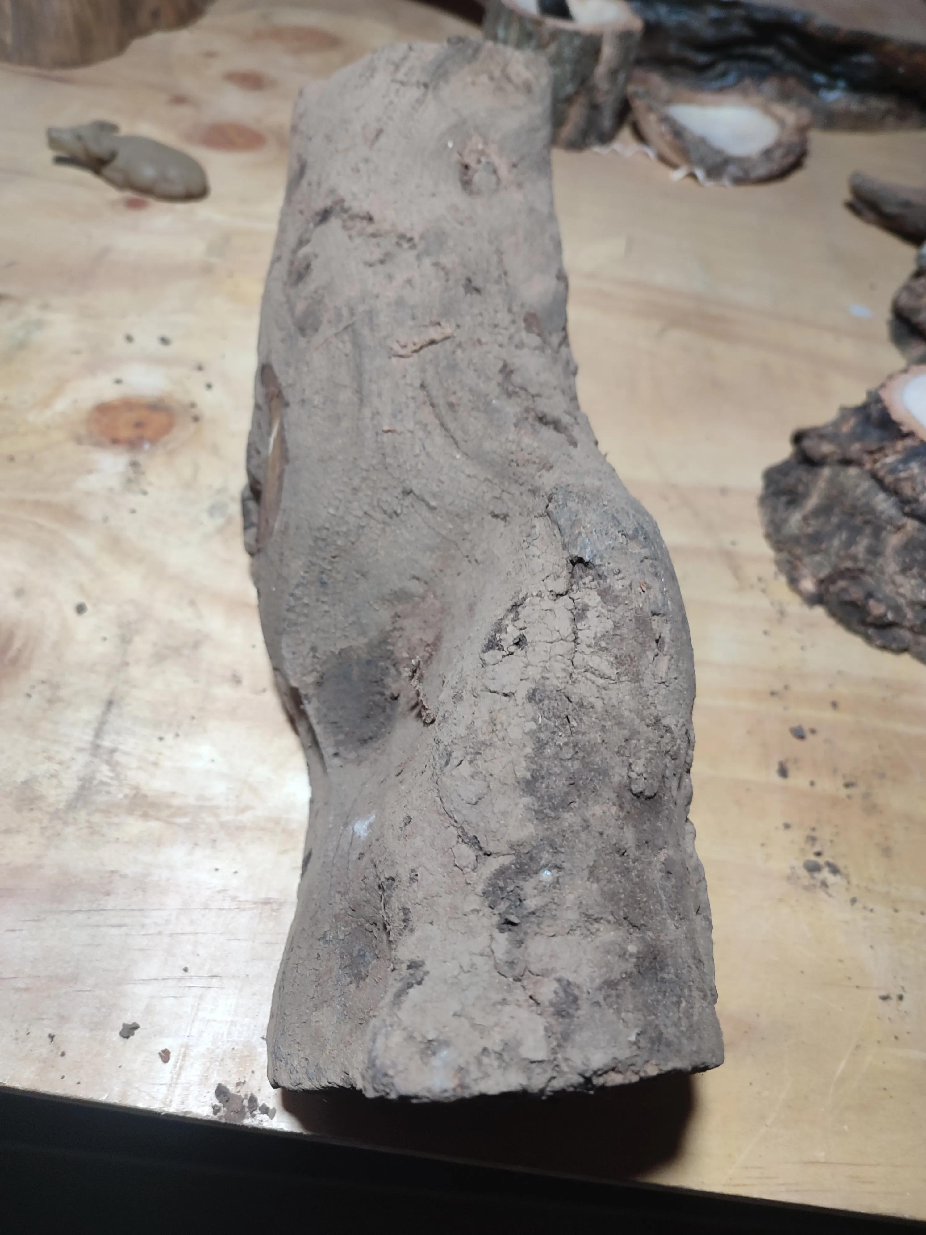 How to Regenerate a Section of Weathered Rock Mulberry Tree Roots - iNEWS