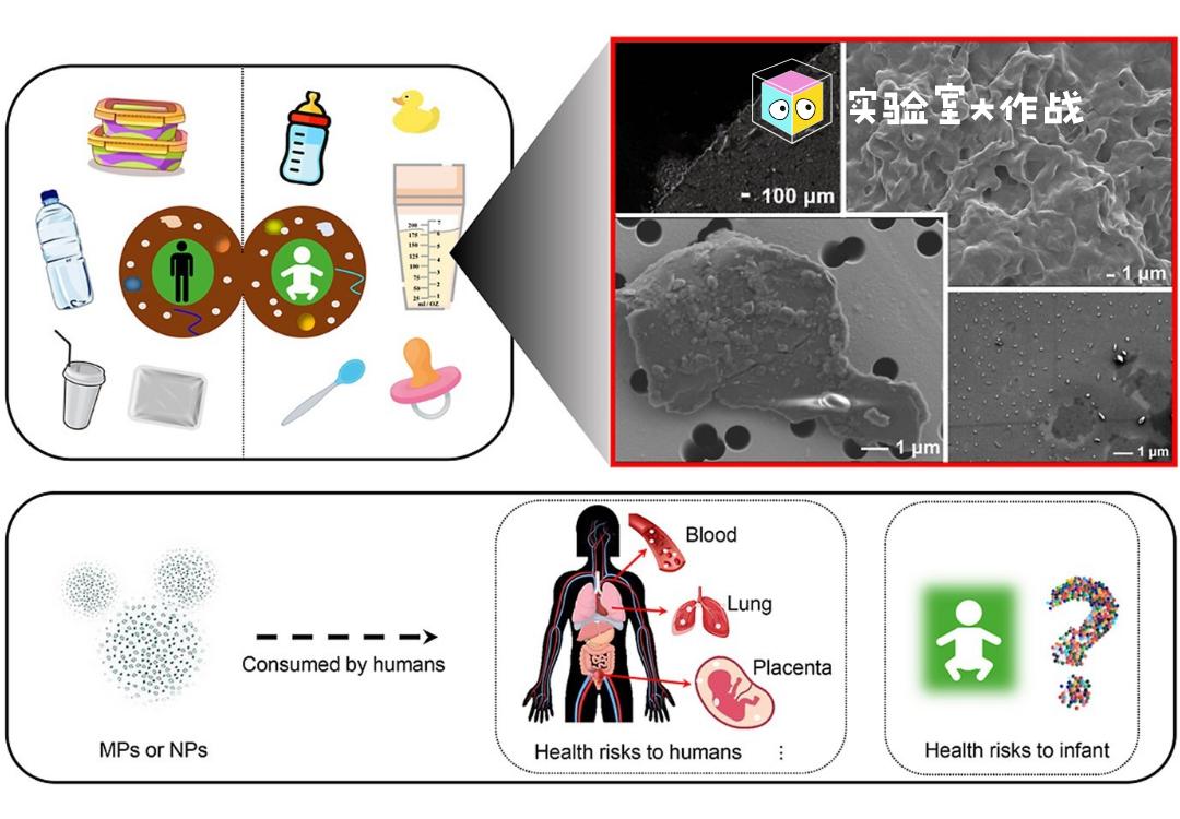 New insights into microplastic release from breast milk storage bags ...
