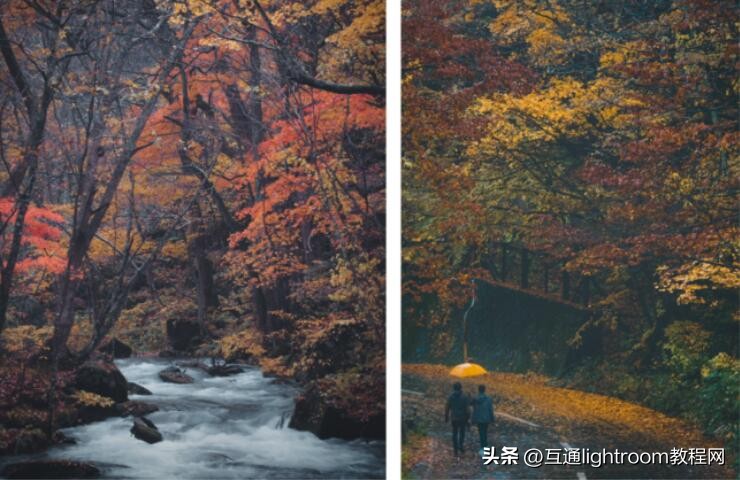 How to make photos better convey stories and emotions in photography ...