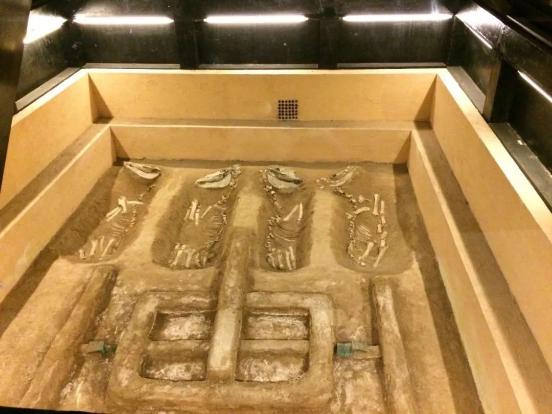 Exploring the Archaeological Discovery and Cultural Significance of the ...