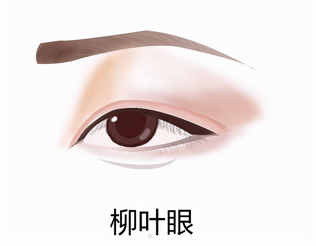 10 common eye shapes in China, which one are you? - iMedia