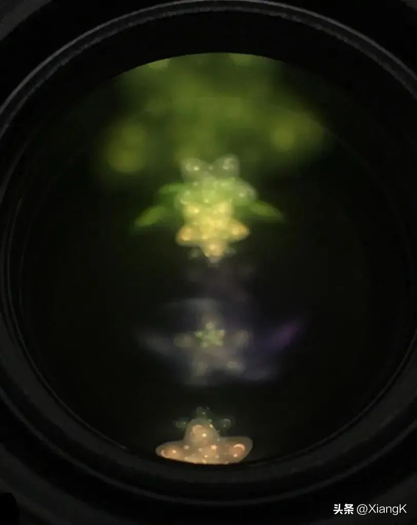 Idiom a day: auspicious light piece feathers - iNEWS