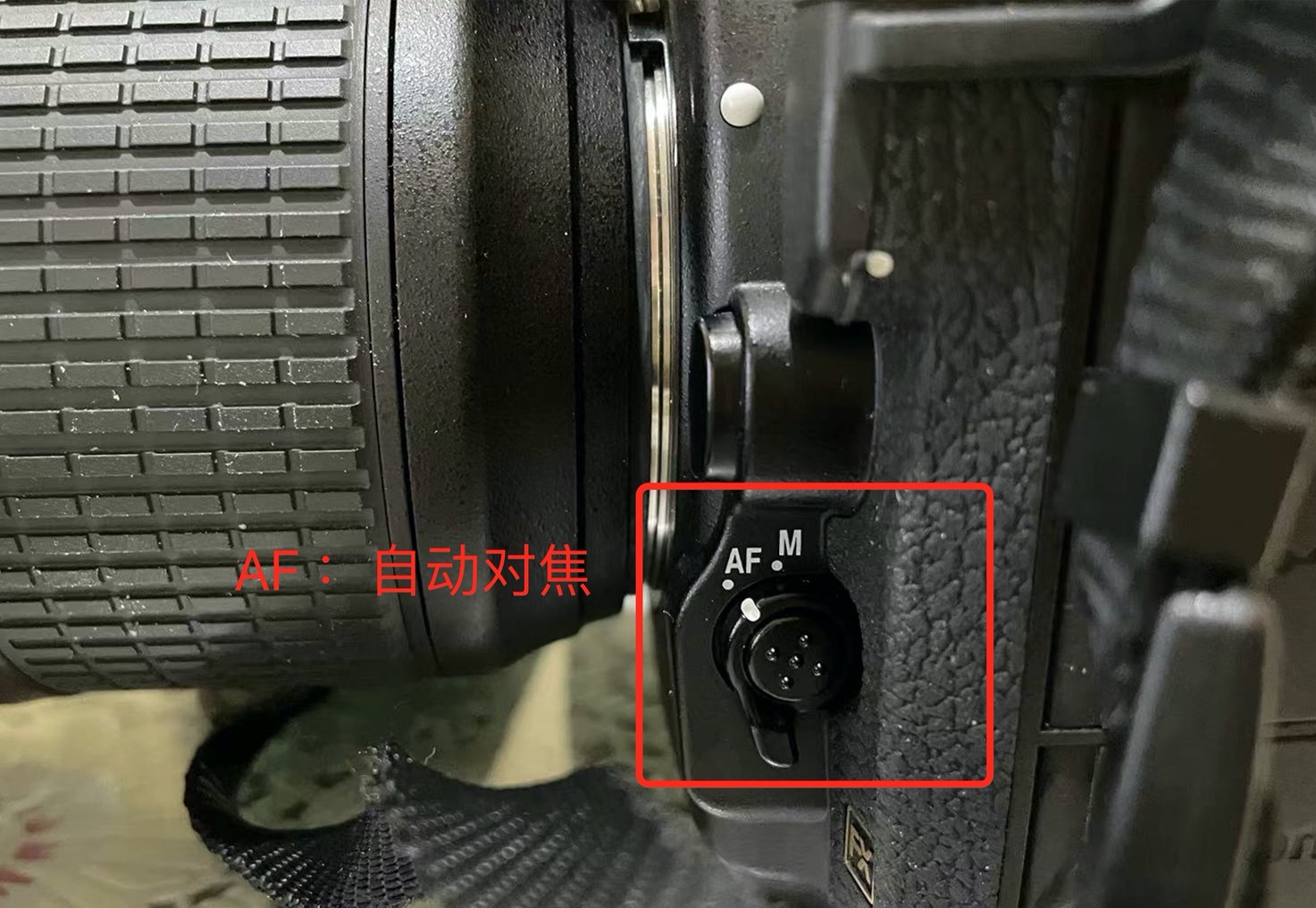 How to take a selfie with a SLR camera?10 seconds to teach you to take ...