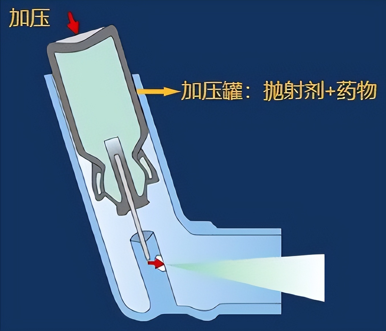 Salbutamol for bronchial asthma, you must know these 6 points ...