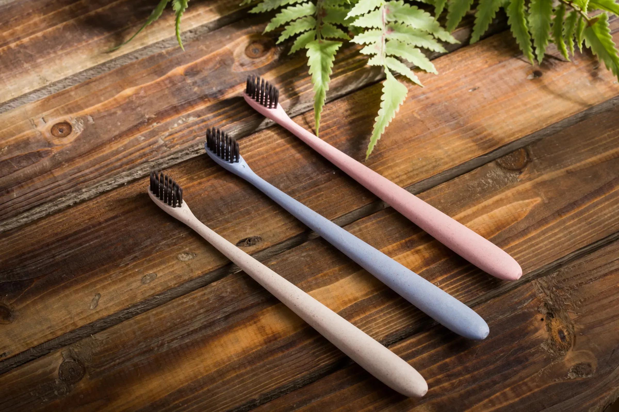 Can a shoe brush be used to brush teeth? - iMedia