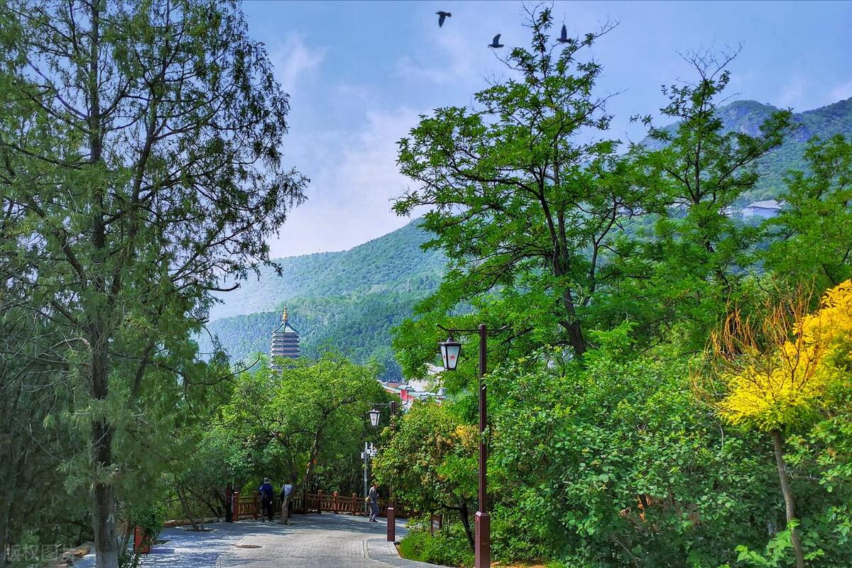 "Back Garden of the Capital" Badachu Park: Climbing Three Mountains ...