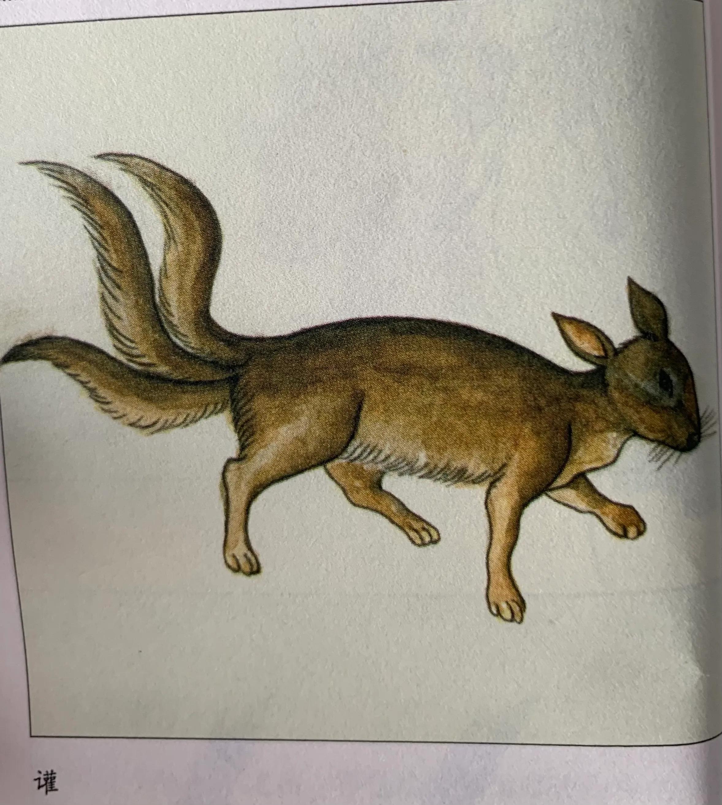 Do you know what animal Dijiang in Shanhaijing is in reality? - iNEWS