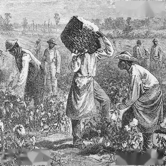 The Impact of Slavery on Urbanization in America - iNEWS